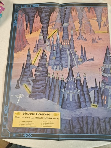 D&D House Baenre Map first house of menzoberranzan | eBay
