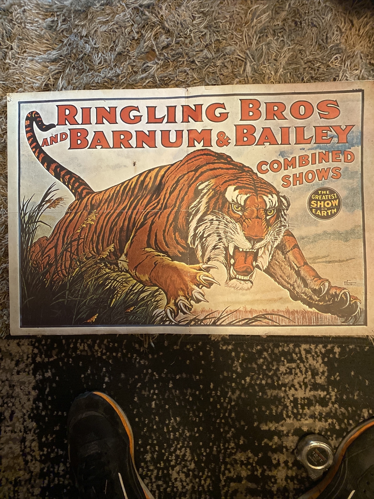 original ringling bros and barnum bailey circus combined show tiger ...