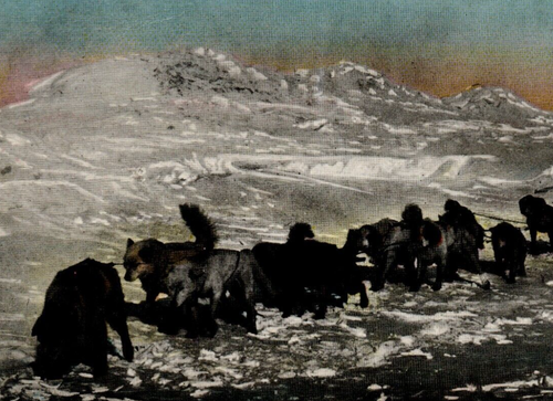Crack Dog Team Alaska sled sports Lowman & Hartford Postcard | eBay