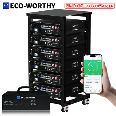ECO-WORTHY 6Pack 30.72kWh 48V 100AH Server Rack LiFePO4 Lithium Battery ...