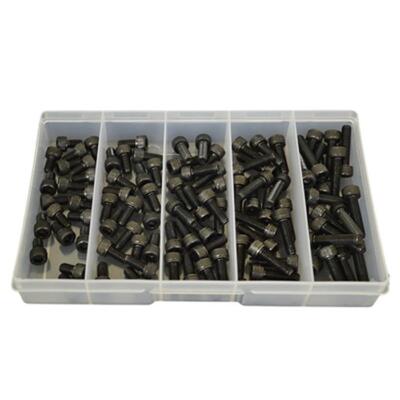 2 x 100 Piece M6 Uncoated Black Plain Socket Cap Screw Assortment Kit ...