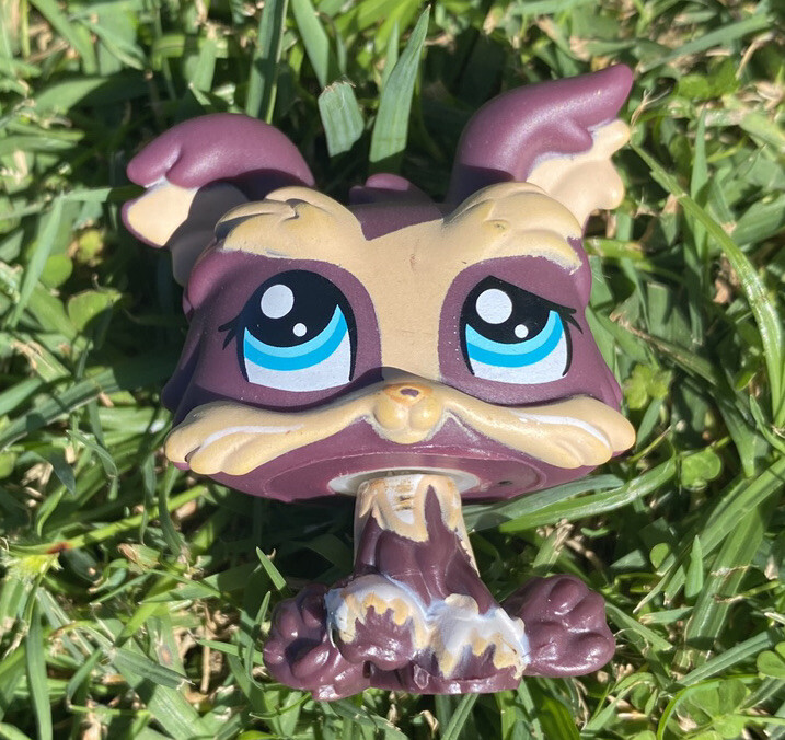 Littlest Pet Shop LPS Yorkshire Terrier #1473 Authentic Hasbro Petshop ...