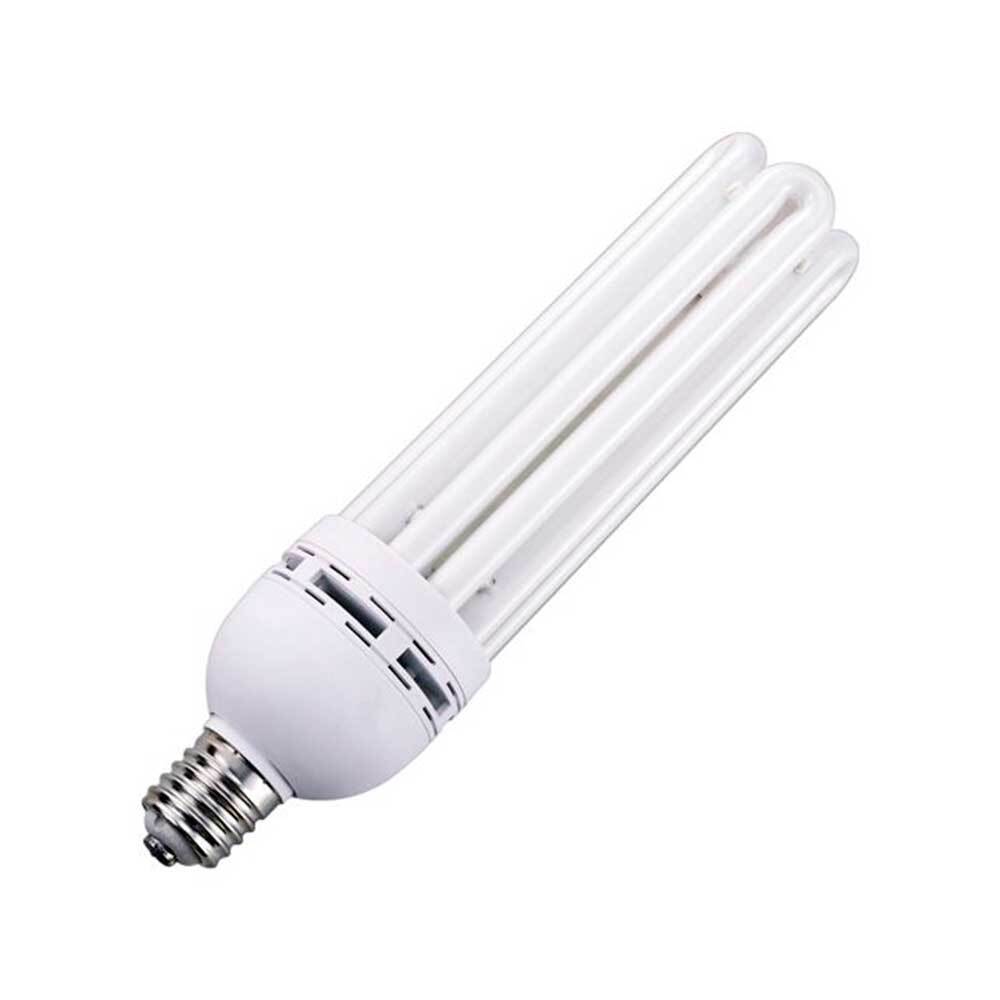 Compact Fluorescent Bulb Information