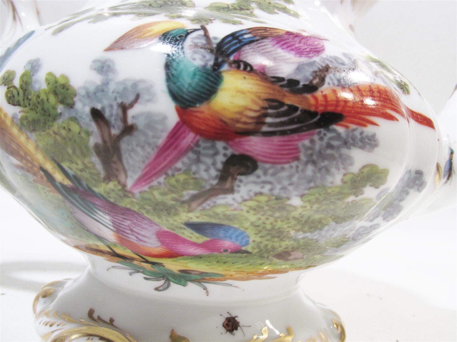Hand Painted Richard Klemm Dresden Birds of Paradise Teapot Insects ...