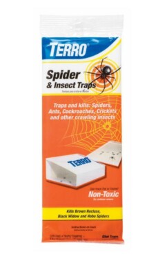 Terro T3206 Spider & Insect Traps (4 Count), Non-Toxic Sticky Paper ...