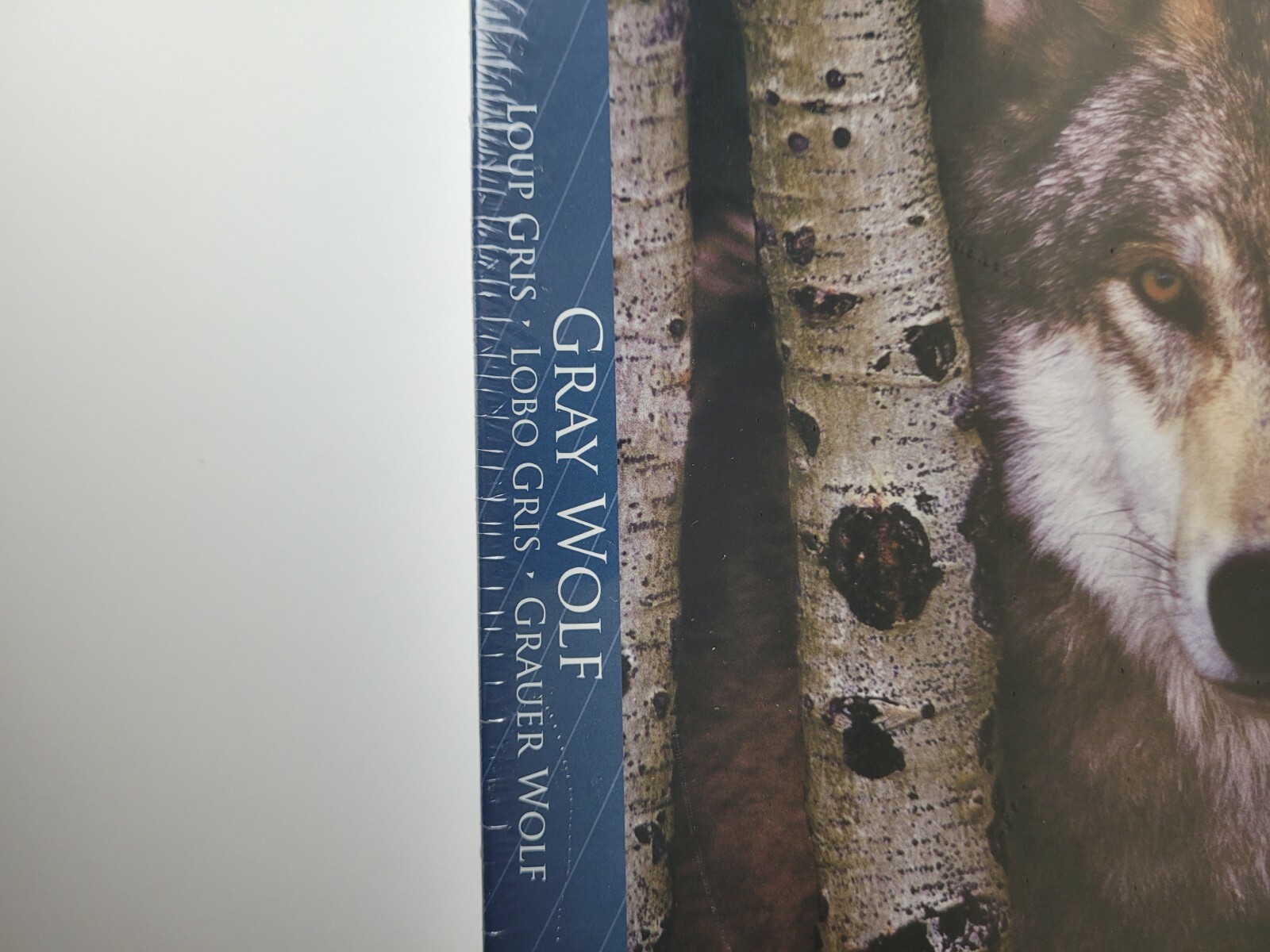 Eurographics+Jigsaw+Puzzle+Gray+Wolf+1000+Pcs for sale online | eBay