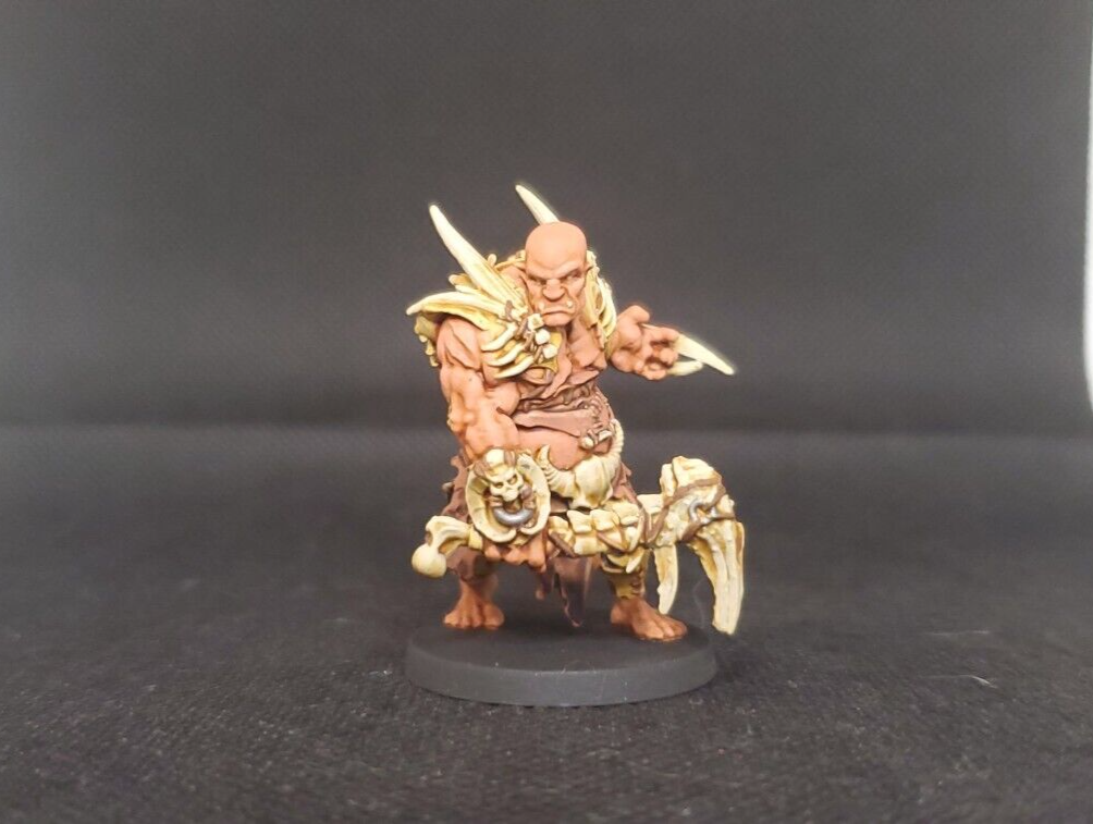 Half Ogre PC Hero Fighter Barbarian Monster Miniatures D&D Pathfinder ...