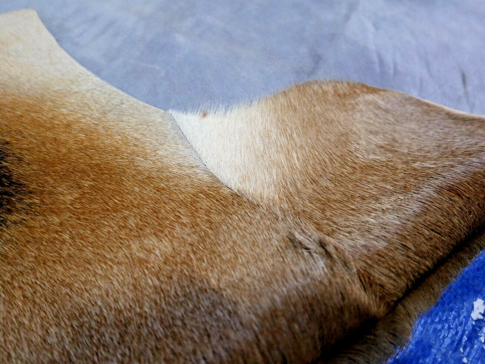 Red Hartebeest skin - African Deer Skin - Deer Hide Rug - Antelope Rug ...