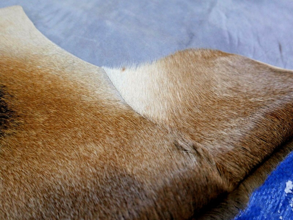 Red Hartebeest skin - African Deer Skin - Deer Hide Rug - Antelope Rug ...