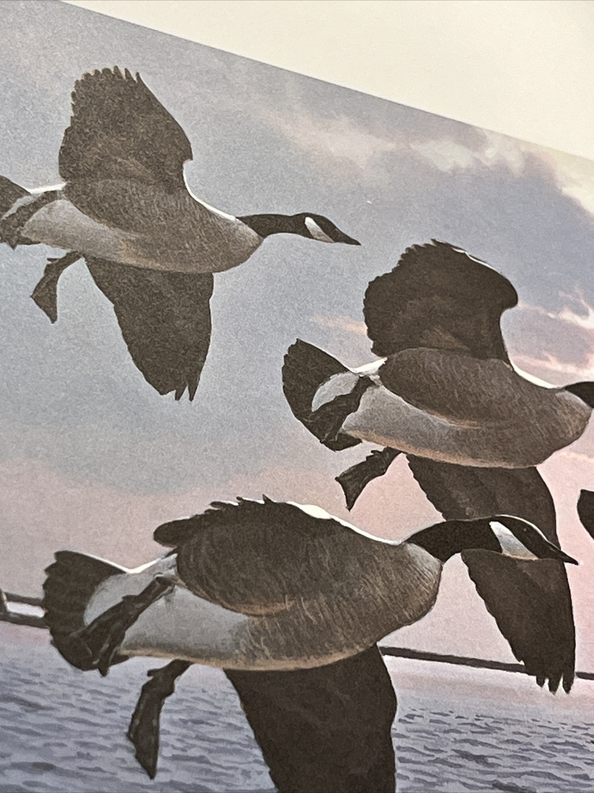 Larry Barton,1985,New York,Duck Print,3971/14,040,Mint Stamp, Mint ...