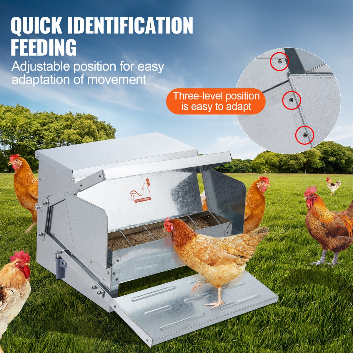 Automatic Chicken Feeder Self Service