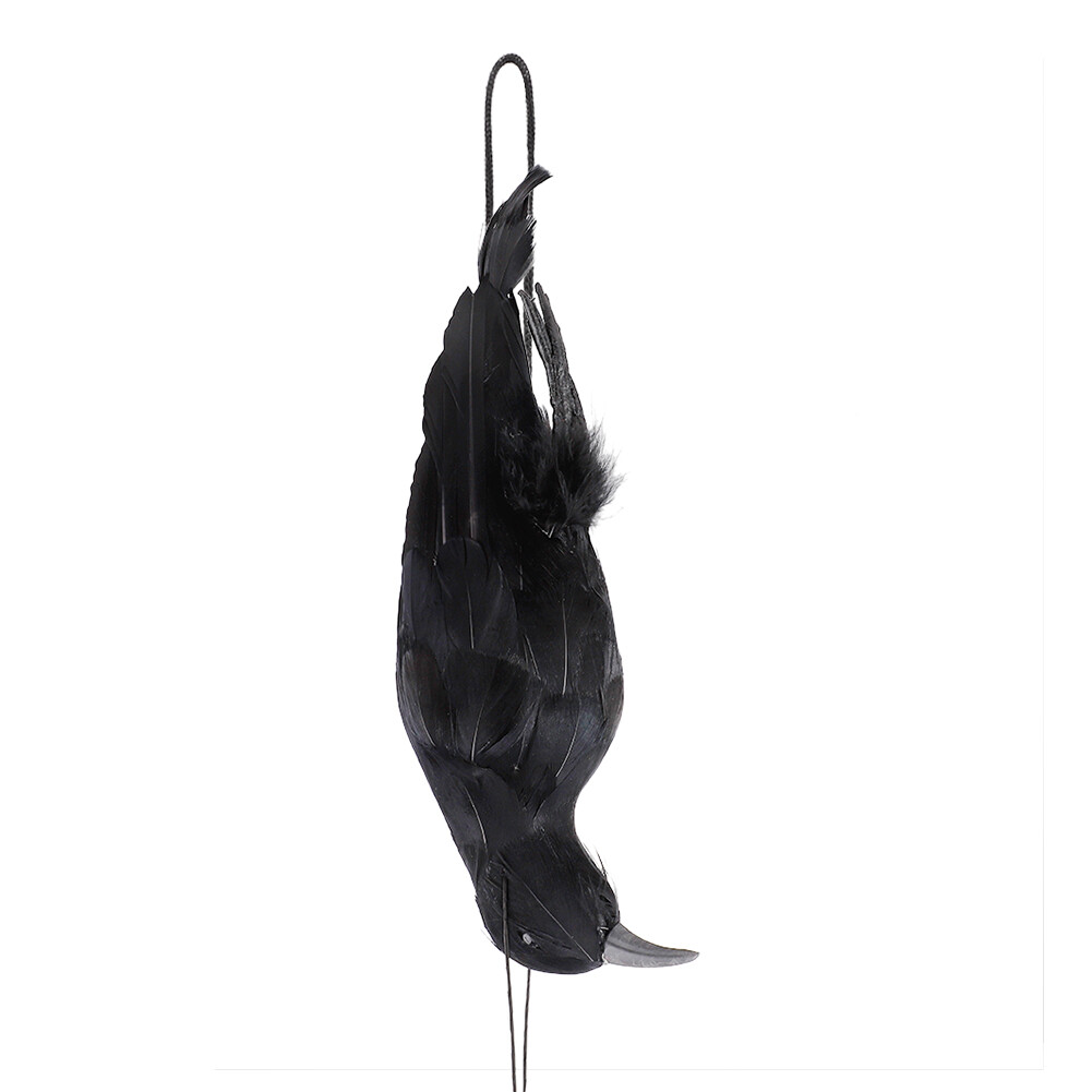 1/2/5X Realistic Hanging Dead Crow Decoy Lifesize Extra Black Feathered Crow | eBay Australia