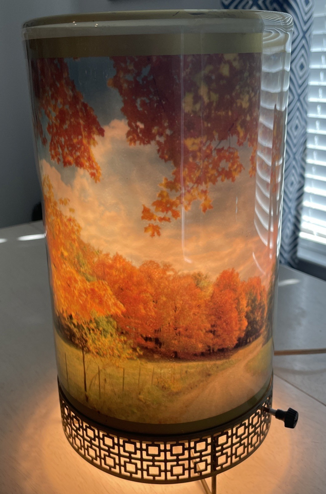 Very Rare -L.A. Goodman Autumn Round Motion Lamp 1956-Beautiful Working ...