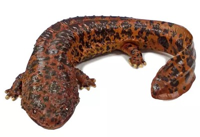 Trading Figures Giant Salamander Magnet Ntc Mono Plus Newt And Ball Chain No8700 | eBay