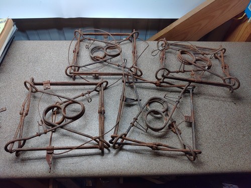 4 Belisle #330 Super X Body Grip Trap Trapping Supplies 4 Traps | eBay