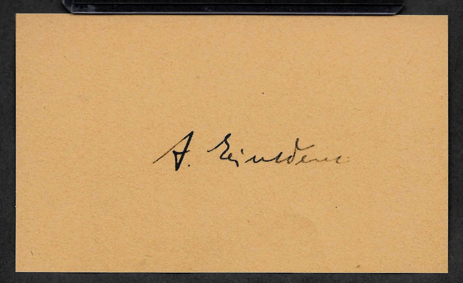 Albert Einstein Autograph Reprint On Old 3X5 Card Theory of Special ...