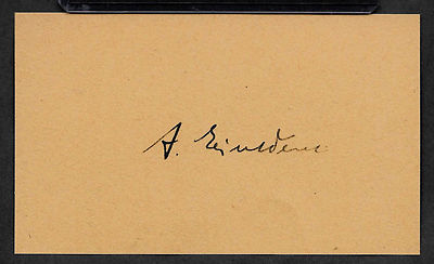 Albert Einstein Autograph Reprint On Old 3X5 Card Theory of Special ...