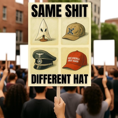 No Kings In America Protest Sign 18"-24" Wooden Handle Different Hat ...
