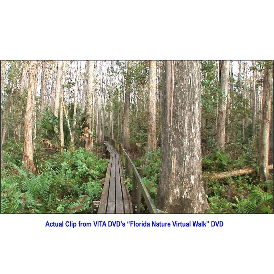 FLORIDA NATURE WALK TREADMILL DVD V1 SCENERY VIDEO EXERCISE FITNESS ...