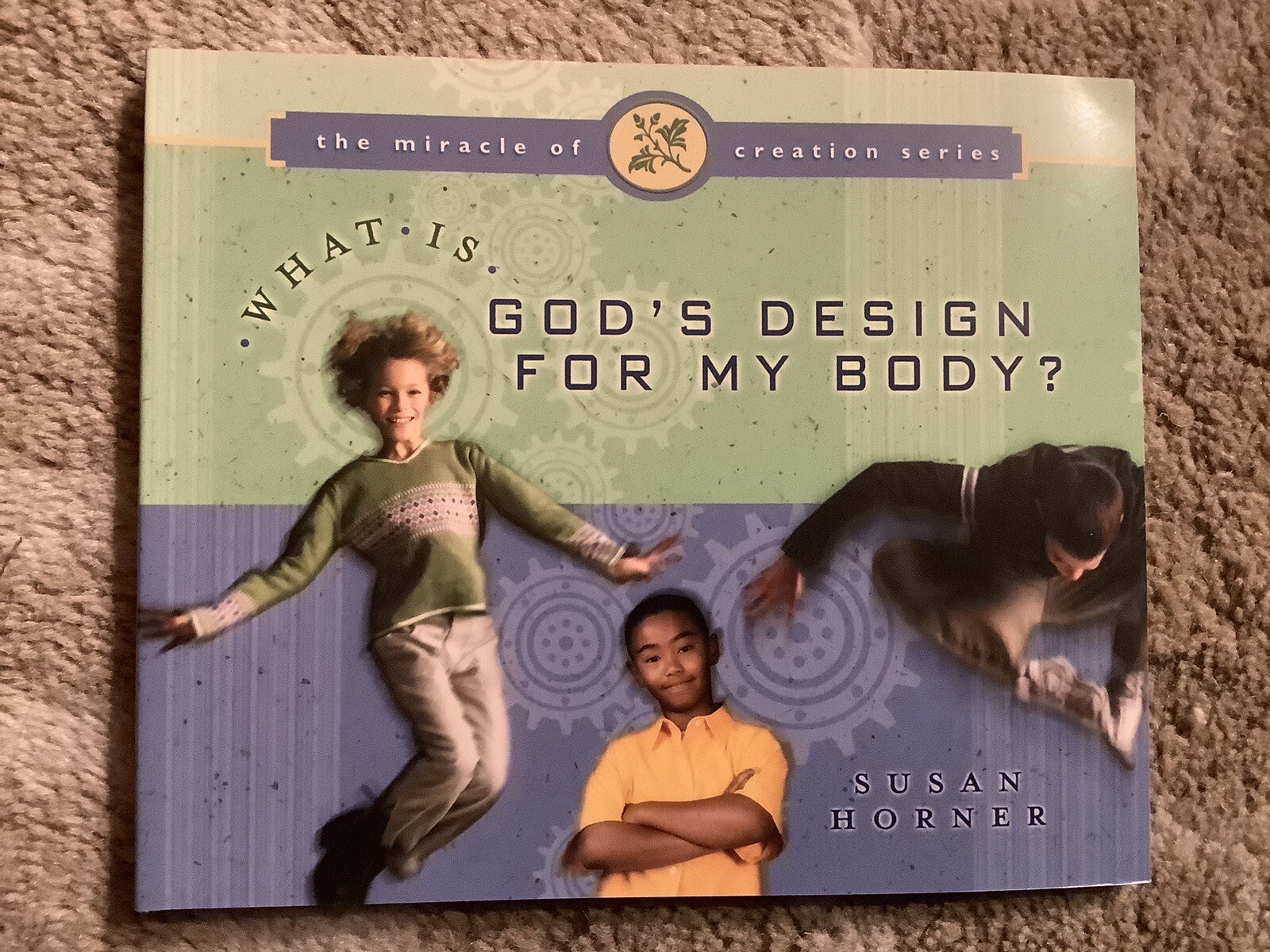What Is God's Design for My Body? by Susan Horner (2004, Trade ...
