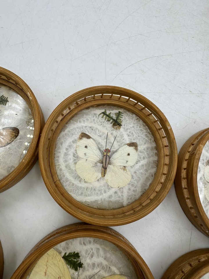 Vintage Butterfly Tray and Coaster 7 piece Set Bamboo Bottom | eBay