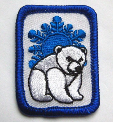 Girl Scout Cadette Senior CLIMATE CHANGE IP BADGE Council Own Polar ...