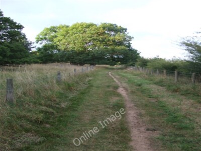 Photo 6x4 Icknield Way Elveden Part of the Icknield Way looking north ...