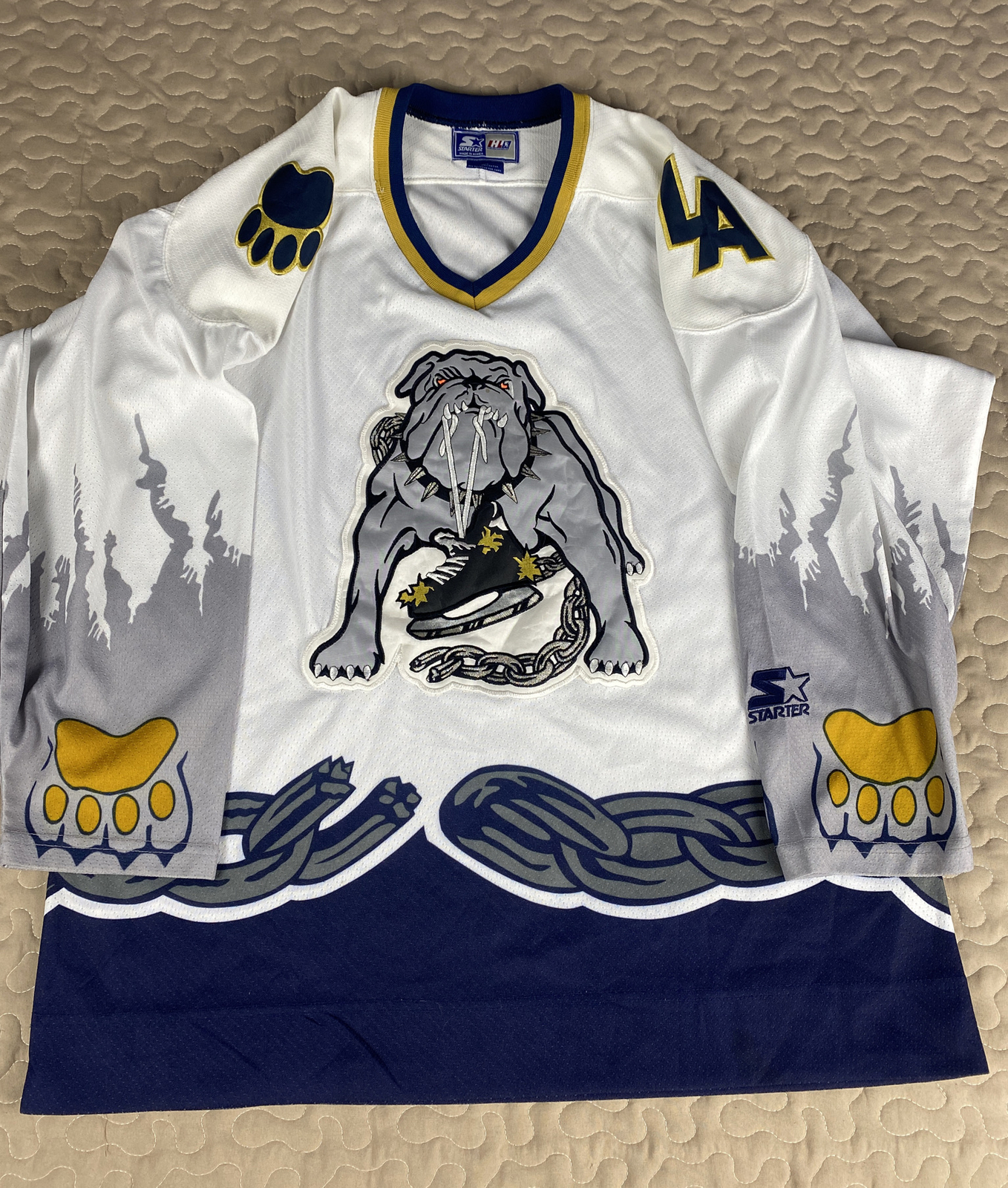 What Happened To The Long Beach Ice Dogs