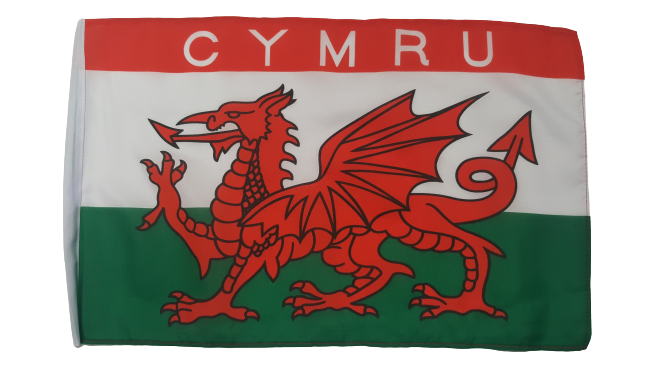 Courtesy Flag 1.5ft x 1ft Sleeved Polyester 180+ designs FREE P&P | eBay UK