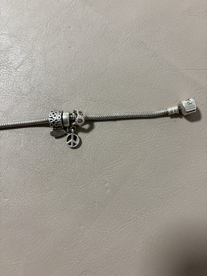 Pandora .925 Sterling Silver Bracelet with all Pandora Charms 8" Chain ...