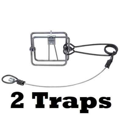2 RBG CTM 3x3 Body Grip Trap Single Spring Rat Trap Trapping Supplies 2 ...