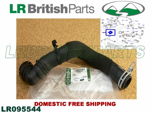 LAND ROVER TOP RADIATOR HOSE LR4 RANGE ROVER SPORT 10-13 3.0L LR095544 ...