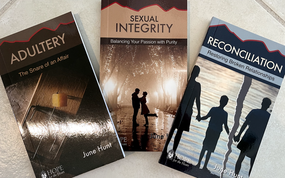 June Hunt (3 Books) Adultery : Sexual Integrity : Reconciliation | eBay