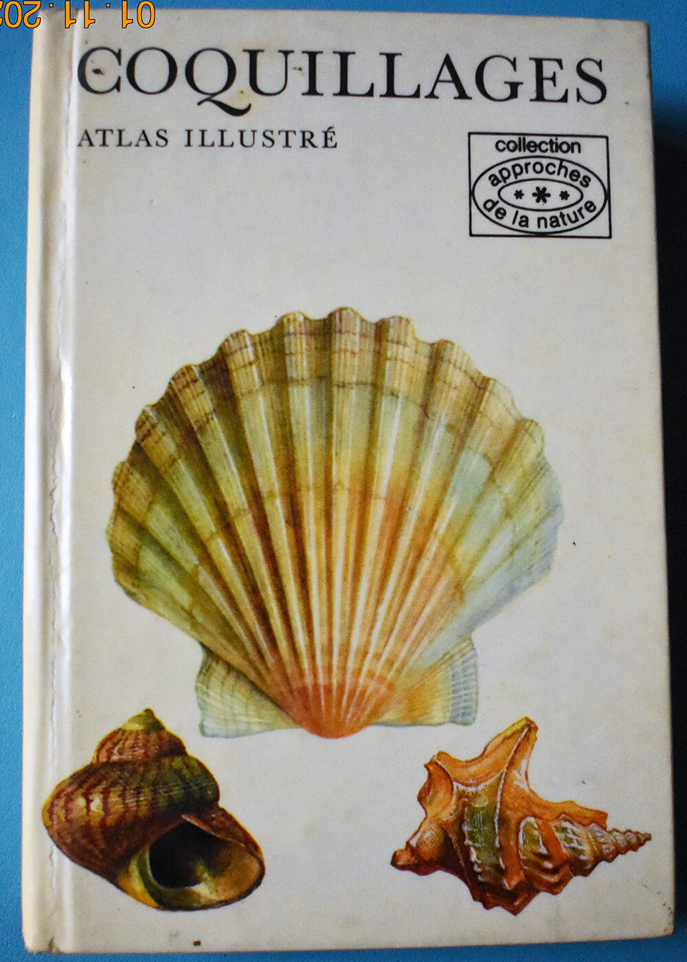 BOOK - SEASHELLS - LES COQUILLAGES ATLAS ILLUSTRE | eBay