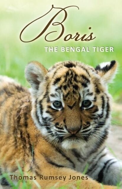 Boris von Thomas Rumsey Jones (2013, Taschenbuch) online kaufen | eBay.de