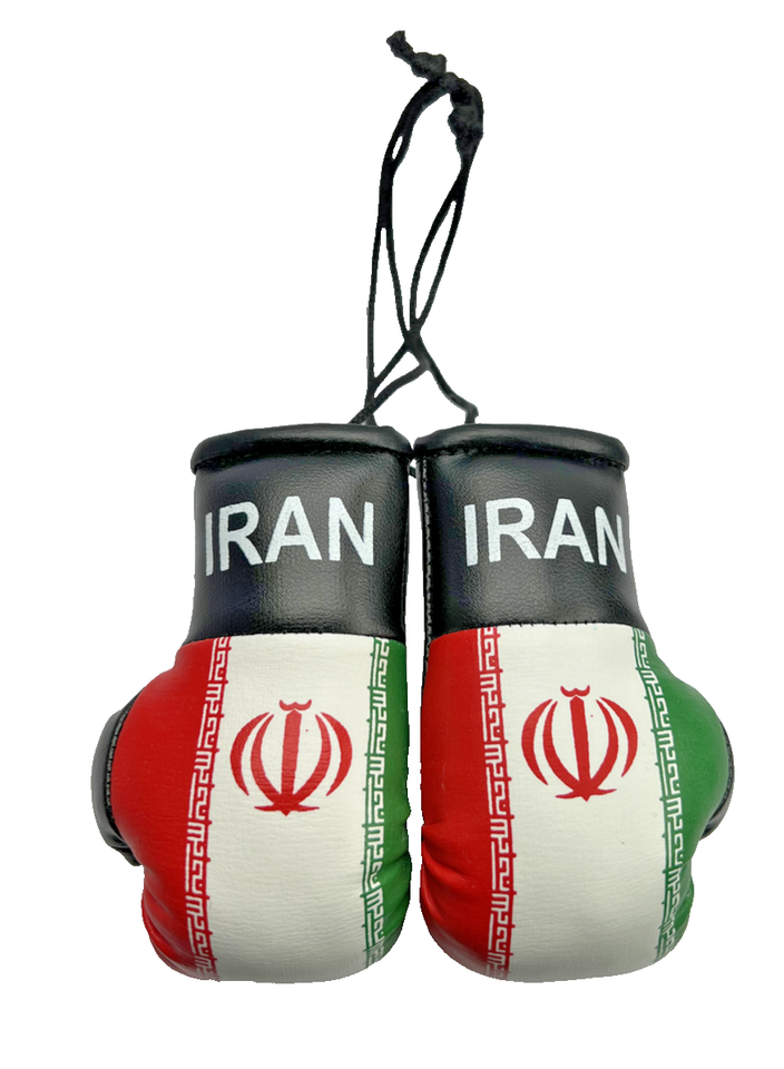 IRAN / IRANIAN Flag Mini Gloves Ornament / Souvenir / Decoration | eBay