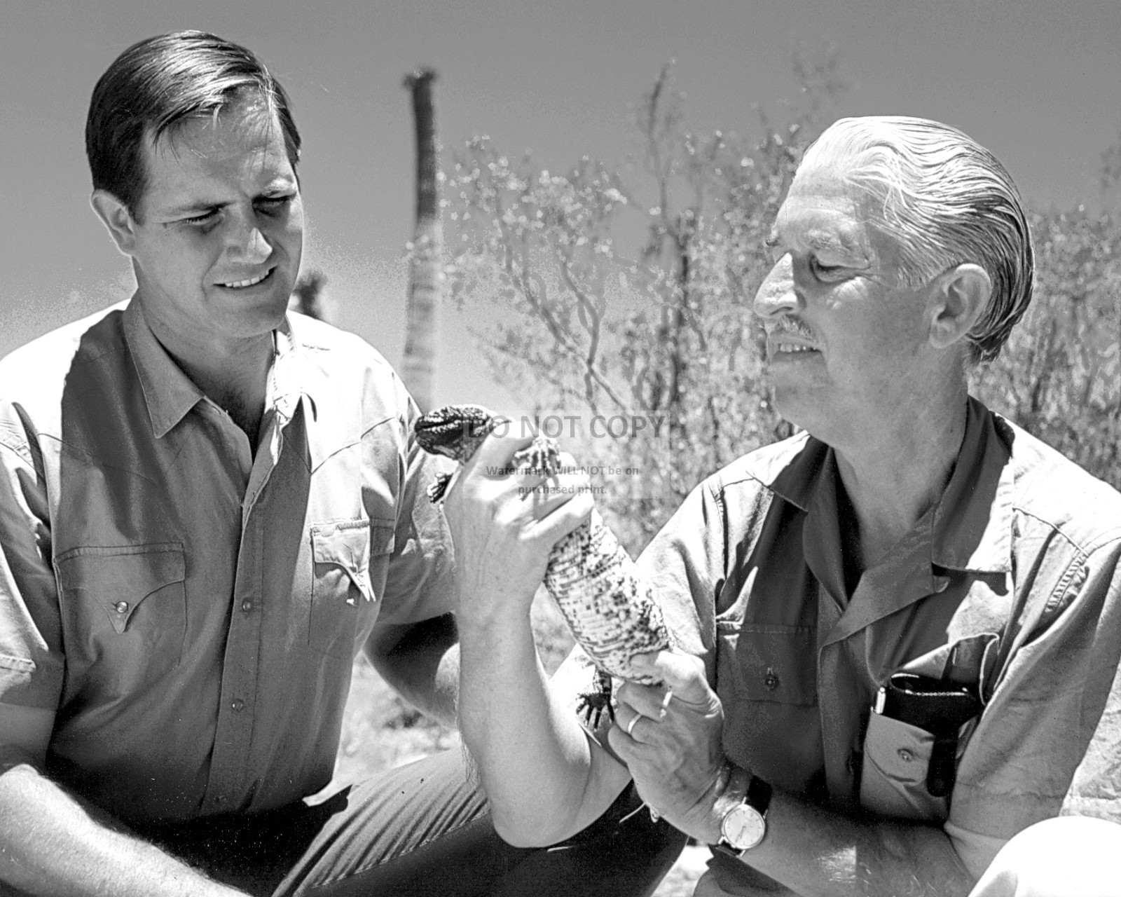 MARLIN PERKINS & JIM FOWLER HOSTS OF "WILD KINGDOM" 8X10 PUBLICITY ...