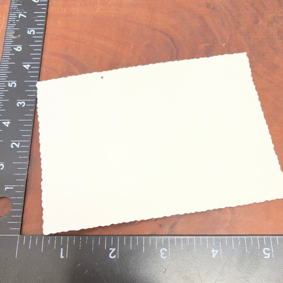 Vintage 1959 Black & White Photo Boy at Rogers Memorial Park | eBay