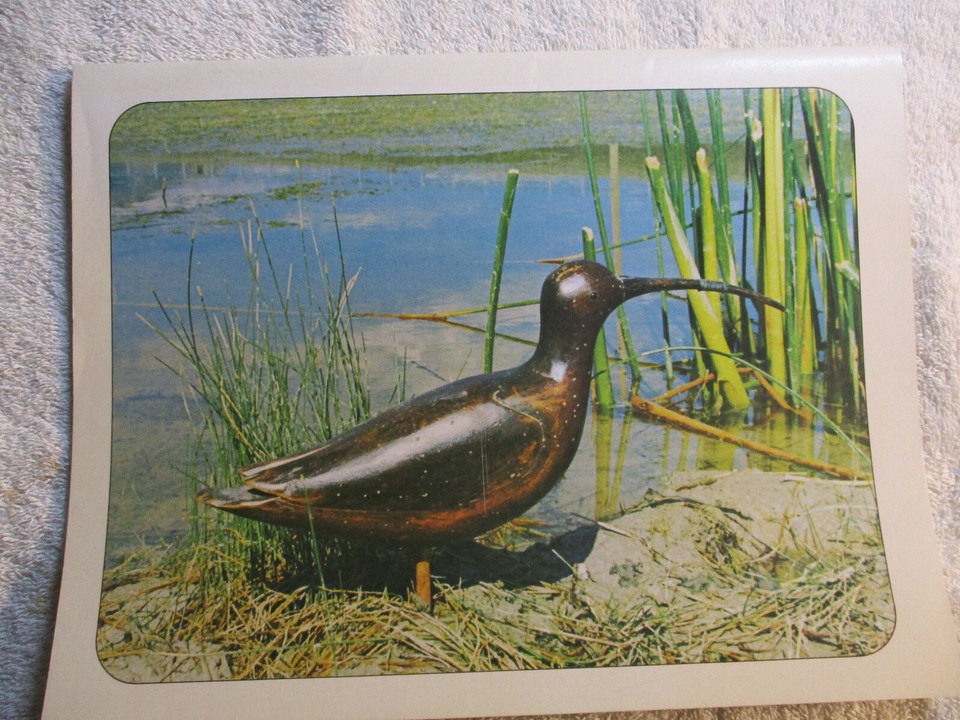 North American DECOYS Magazine Winter 1979 | eBay