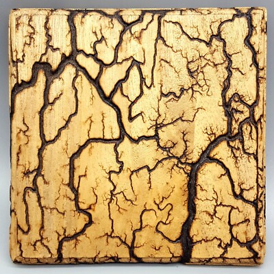 Lichtenberg Electrical Lightning Pyrography - Burnt Wood Plaque ...
