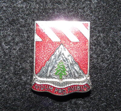 Original WW2 US Army 813th Engineer Battalion Pinback DUI Crest | eBay