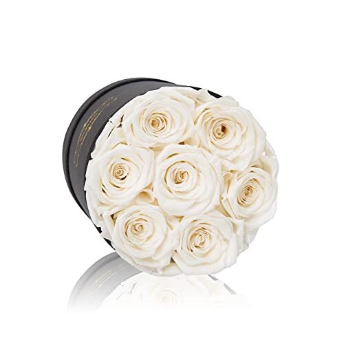 NATROSES Preserved Real Roses in a Box Roses That Last Up to 3 Medium ...