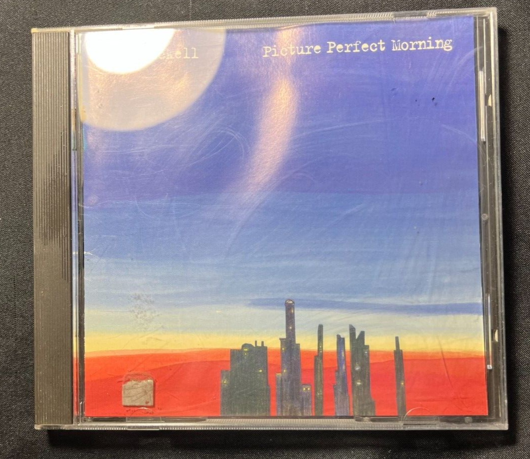 Edie Brickell ‎"Picture Perfect Morning" Used Audio CD | eBay