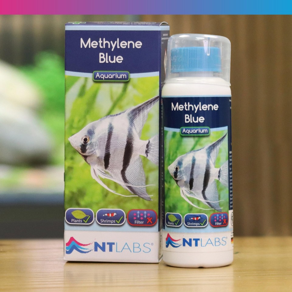 NT Labs Methylene Blue, Aquarium Fish Medicine, Treats Bacterial/Fungal ...