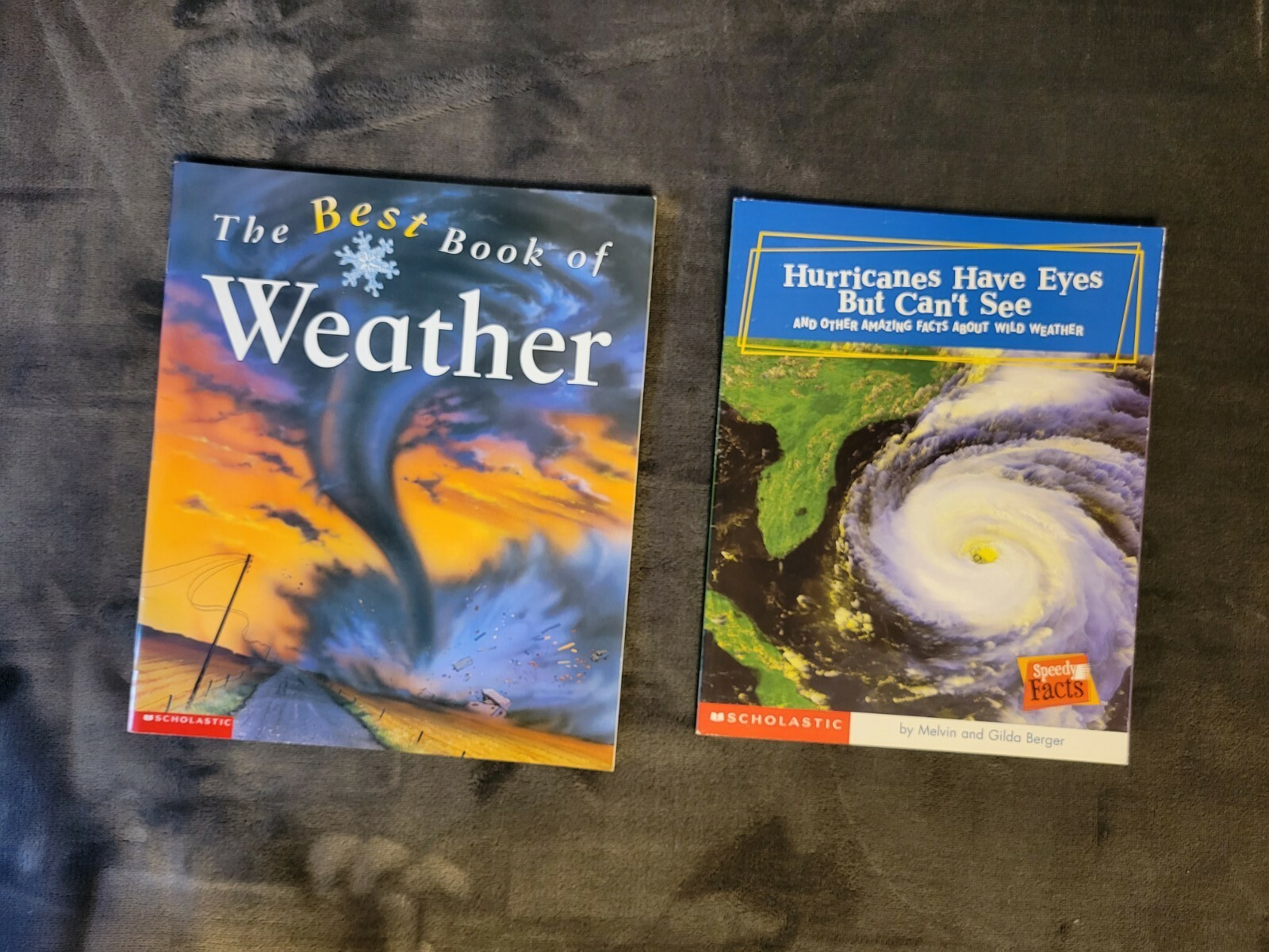 Scholastic Educational Learning Book Lot Of 22 Math Science English 3rd ...