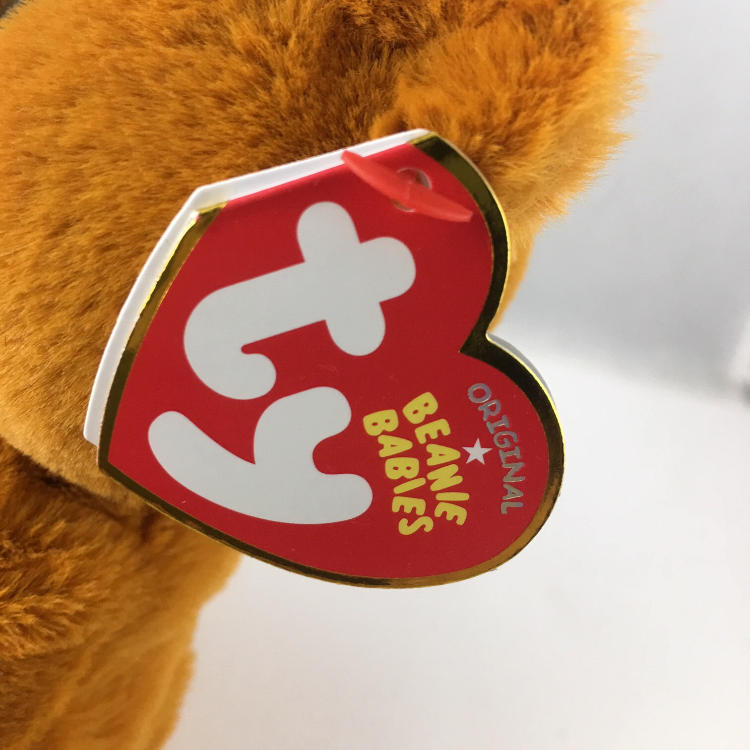 TY Beanie Baby (Beanie Bellies) - DUNCAN Brown Bear (6 inch) MINT with ...