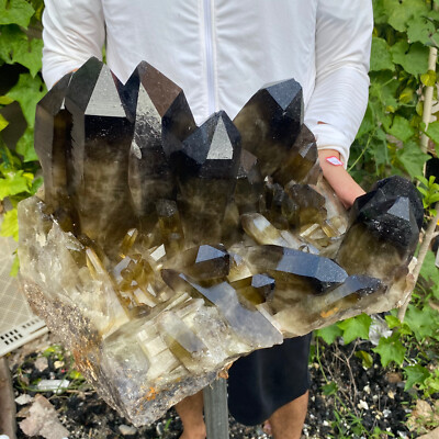 49.6lb Large Natural Black Smoky Quartz Crystal Cluster Raw Mineral ...