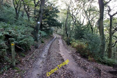 Photo 12x8 The Peckforton Estate near Stanner Nab The track continues ...