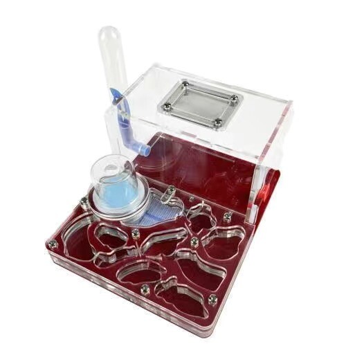 DIY Acryl Mini 3D Ant Farm Ant Nest with Feeding Area Ants House Insect ...