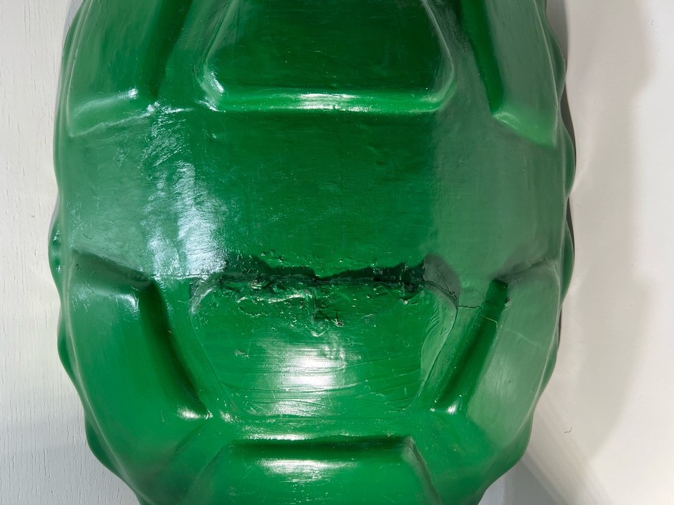 Teenage Mutant Ninja Turtles Costume Head & Turtle Shell – Raphael ...